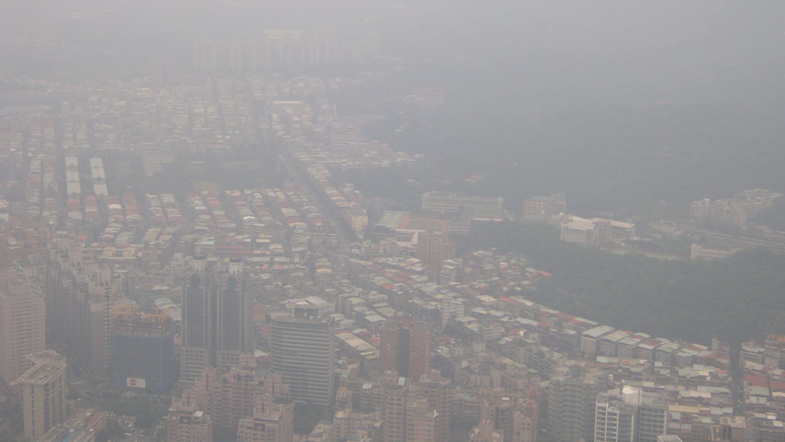 Alex Honnold’s Taipei 101 Climb Is Live TV With No Safety Net ...