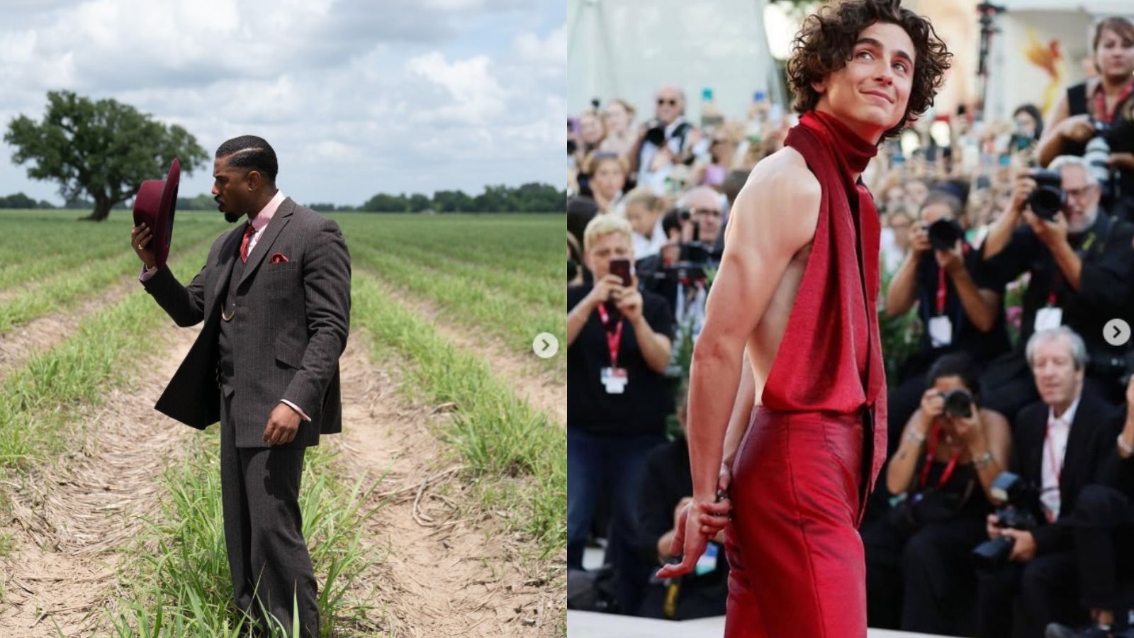 A TikTok Video Claims Timothée Chalamet Is Bigger Than Michael B ...